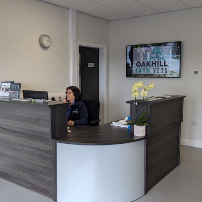 Contact | Oakhill Farm Vets