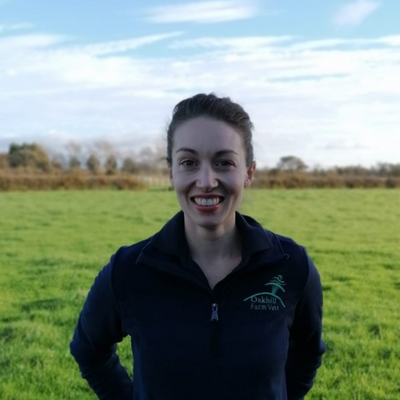 Farm Team | Oakhill Farm Vets