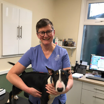 Our Team | Oakhill Vets